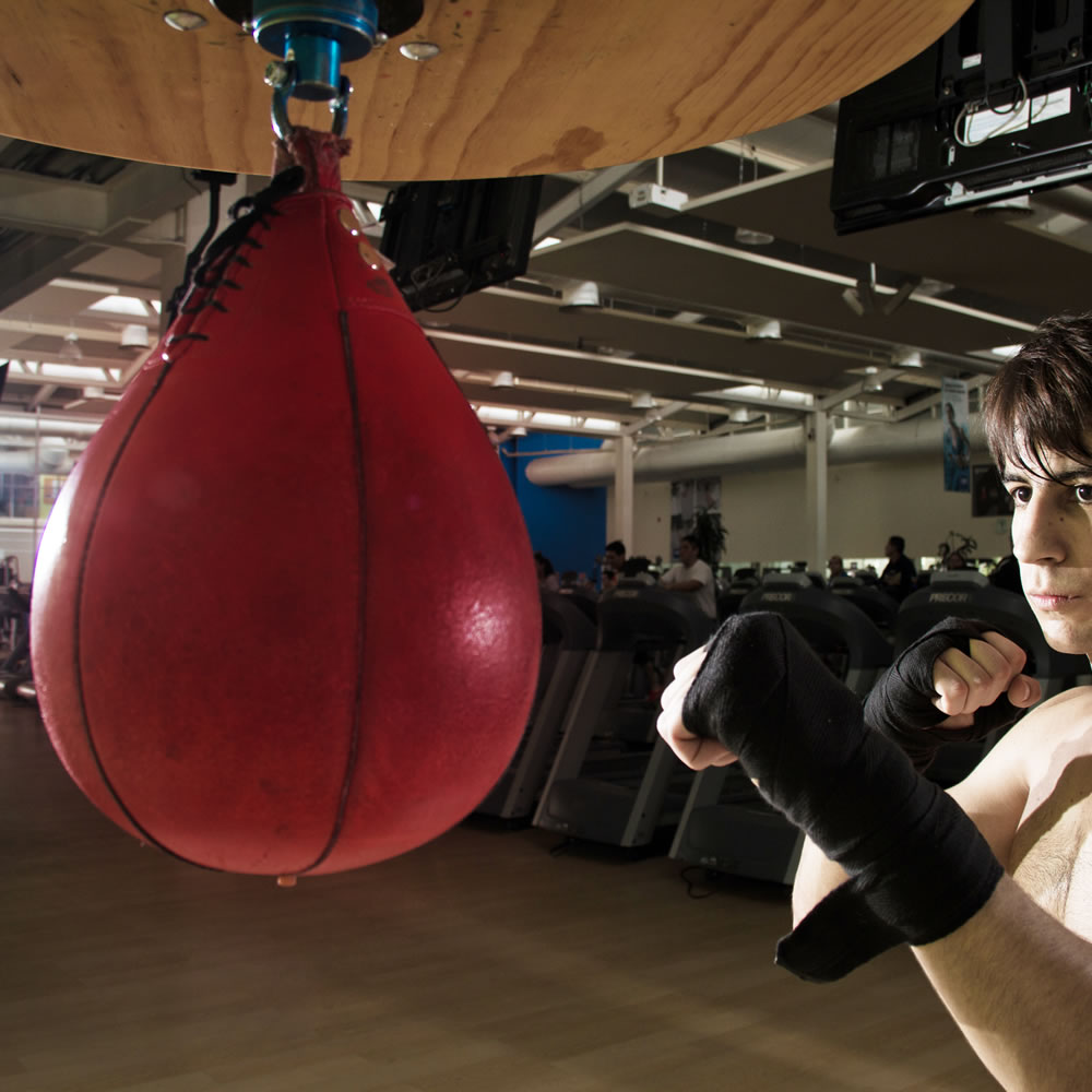 Speed Bags – EverythingMMA